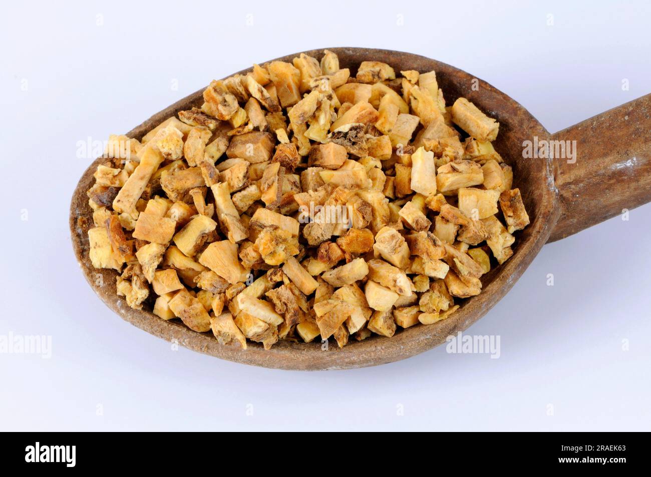 Angelica pubescens root (Angelicae pubescentis Radix), Du Huo Stock ...