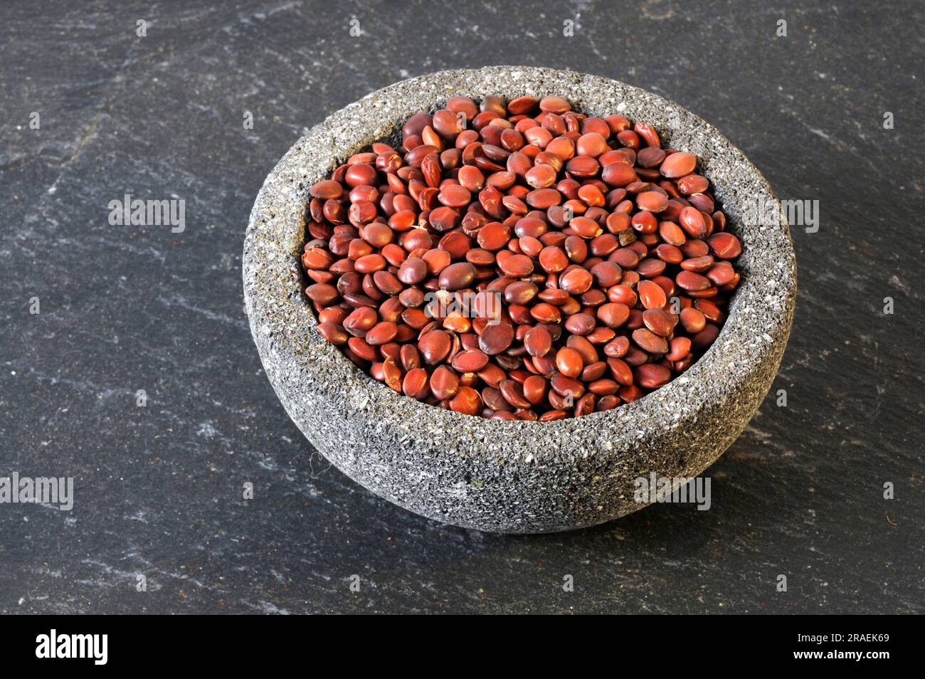 Spina Date Seeds (Ziziphi Spinosae Seeds), Suan Zao Ren Stock Photo - Alamy