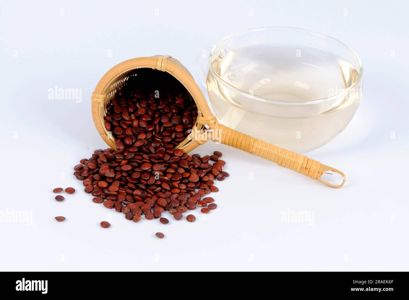 Cup Spina Date Seed Tea (Ziziphi Spinosae Seeds), Suan Zao Ren Stock ...