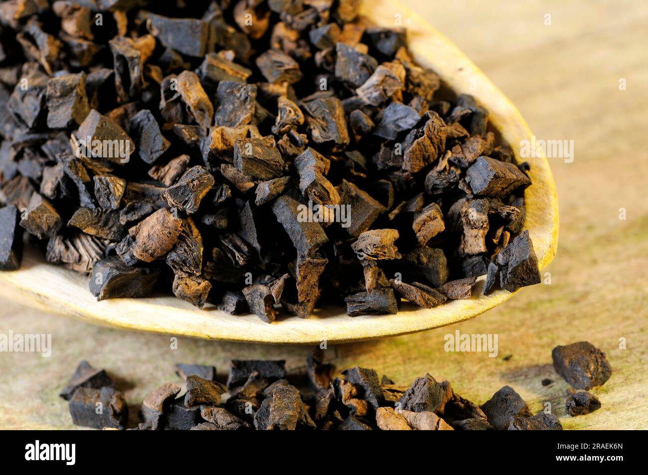 Fig Root (Scrophulariae Radix), Xuan Shen Stock Photo - Alamy