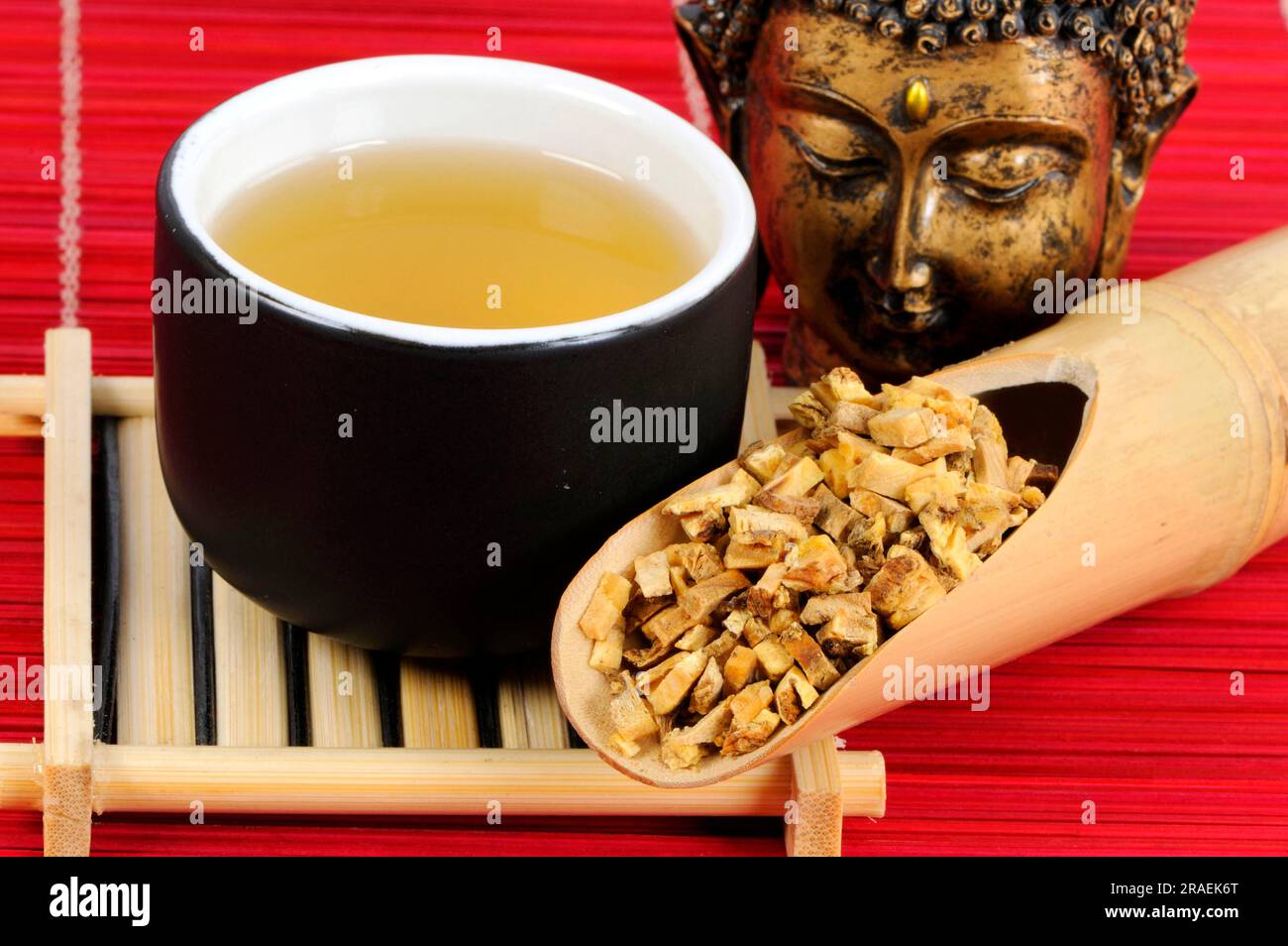 Cup of Angelica pubescens root tea (Angelicae pubescentis Radix ...