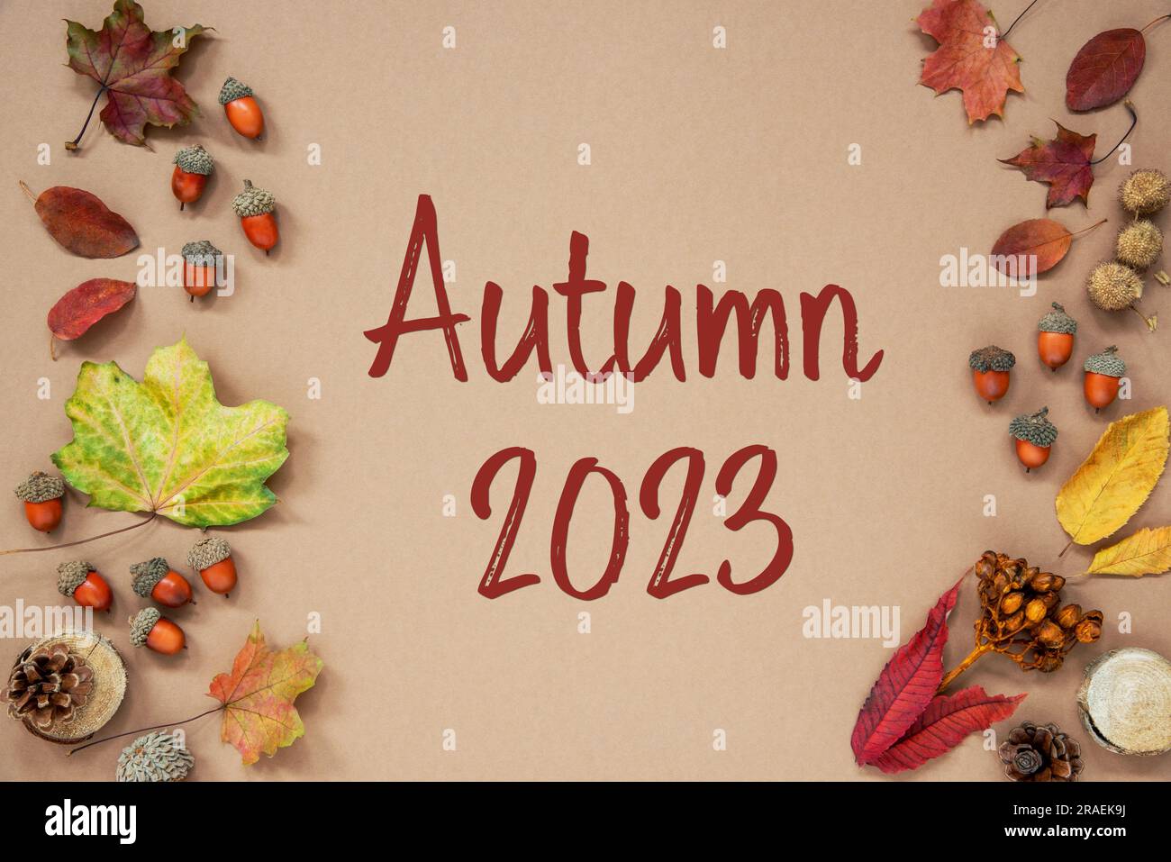 Autumn Background with Text Autumn 2023 Stock Photo - Alamy