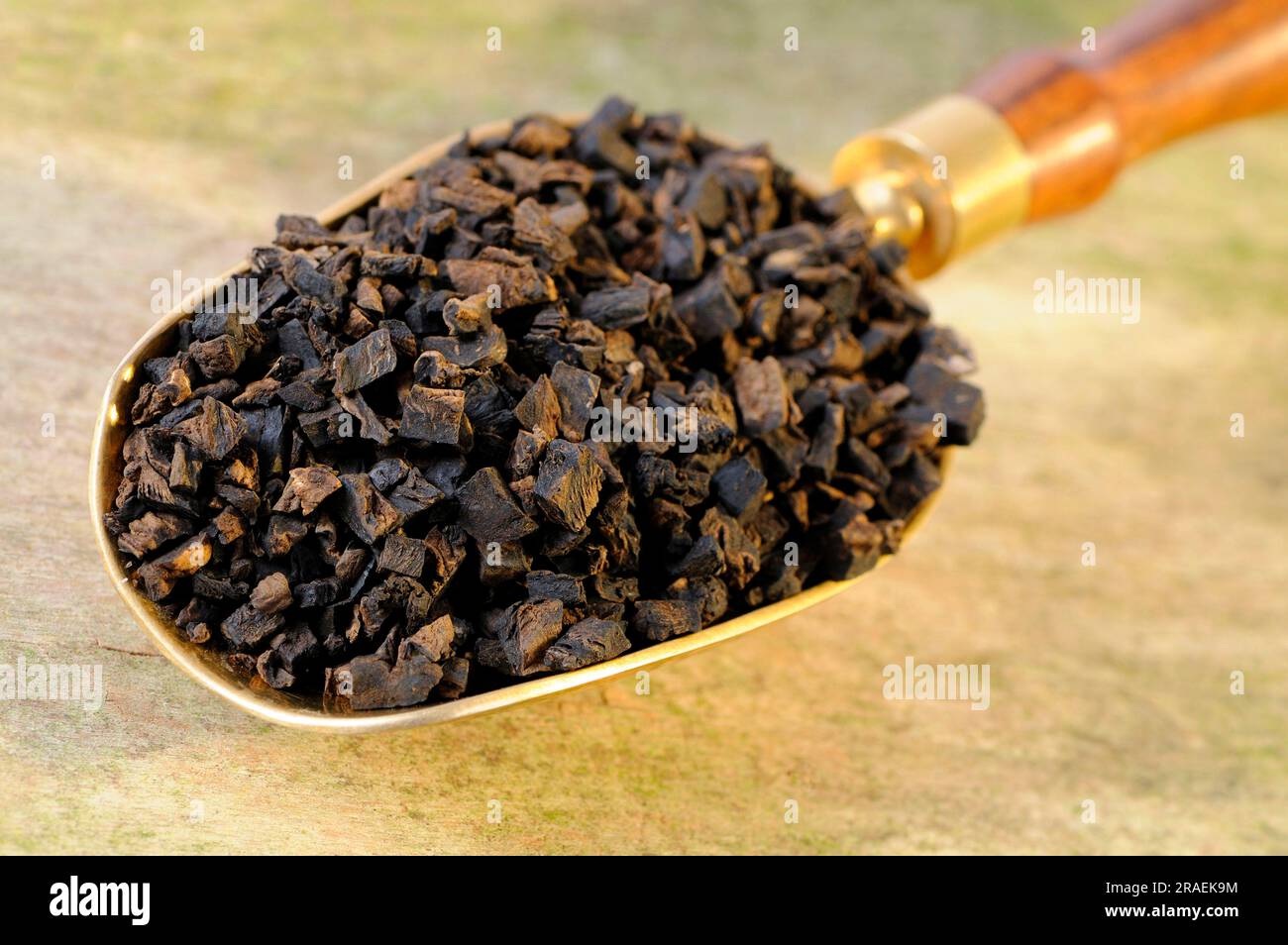 Fig Root (Scrophulariae Radix), Xuan Shen Stock Photo - Alamy