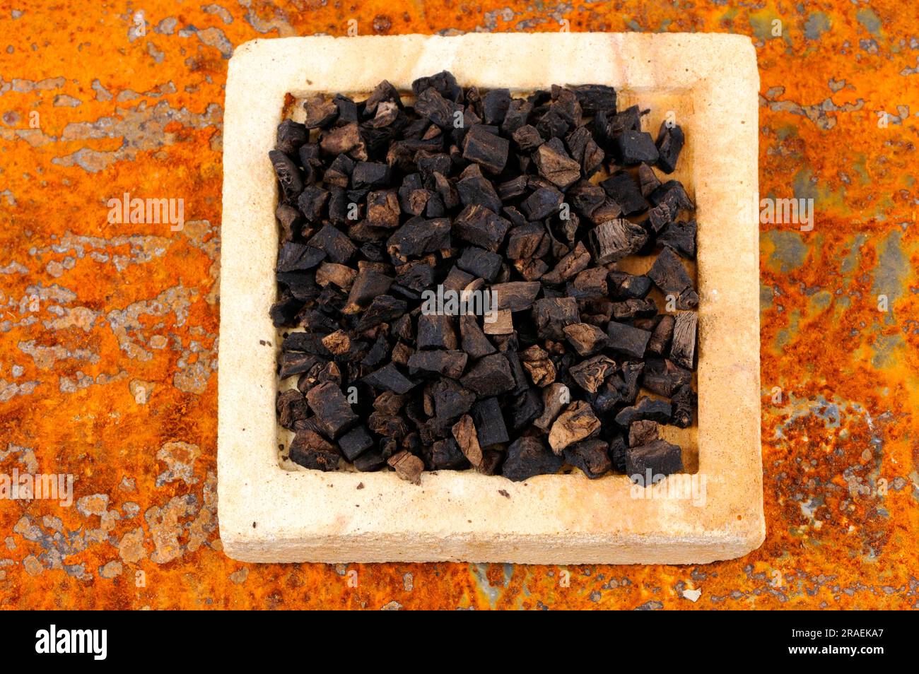 Fig Root (Scrophulariae Radix), Xuan Shen Stock Photo - Alamy