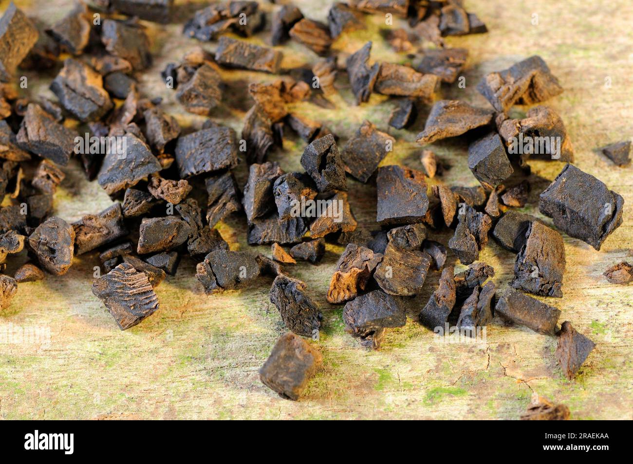 Fig Root (Scrophulariae Radix), Xuan Shen Stock Photo - Alamy