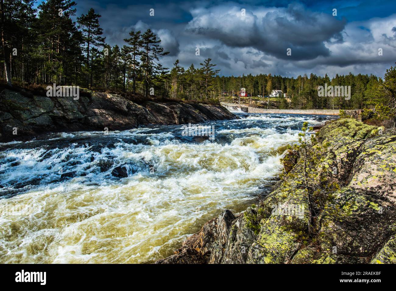 Mountain river stream valley landscape. River creek in mountains. High ...