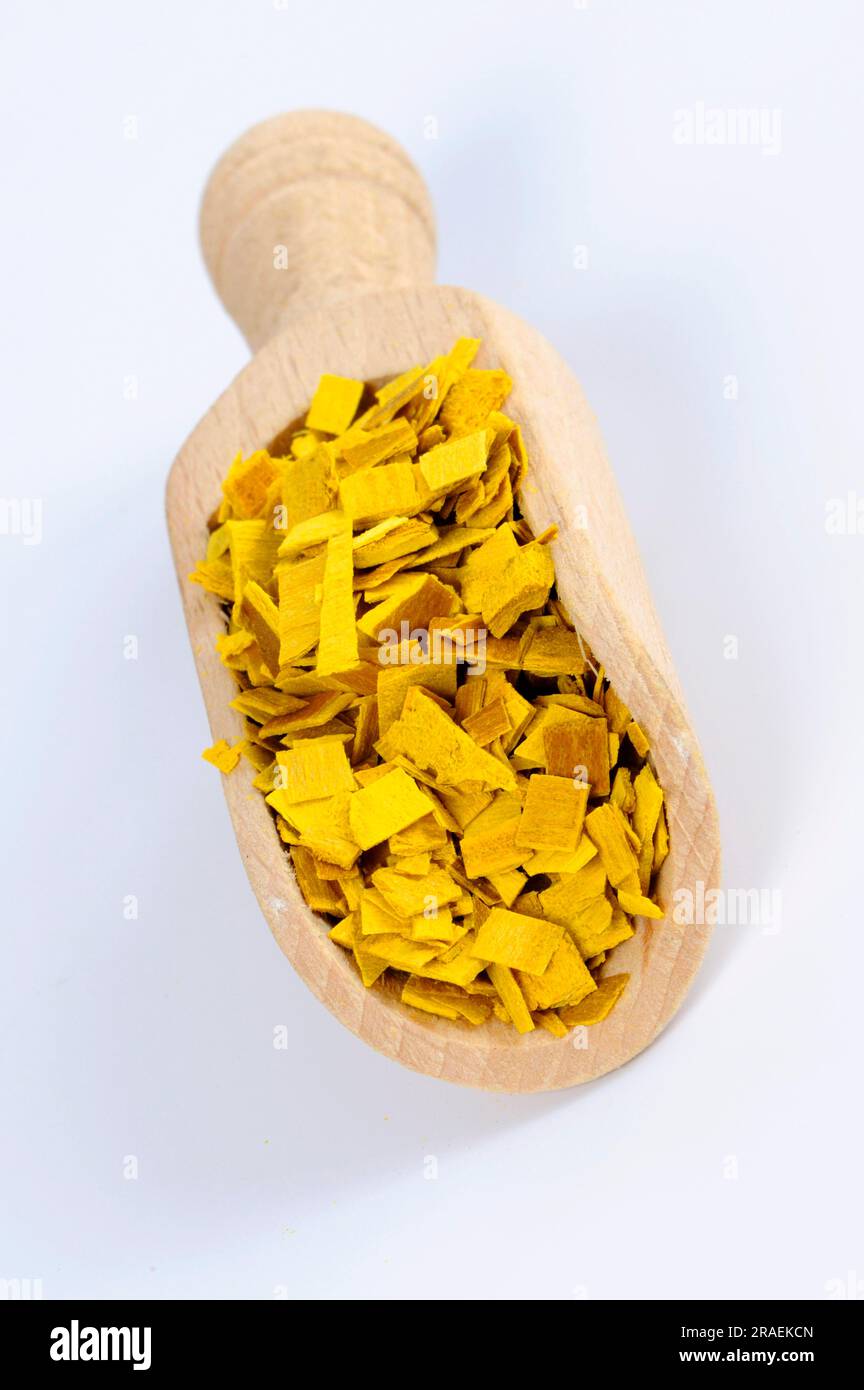 Cork tree bark (Cortex Phellodendri), Huang Bo, Huang Bai, cut out ...
