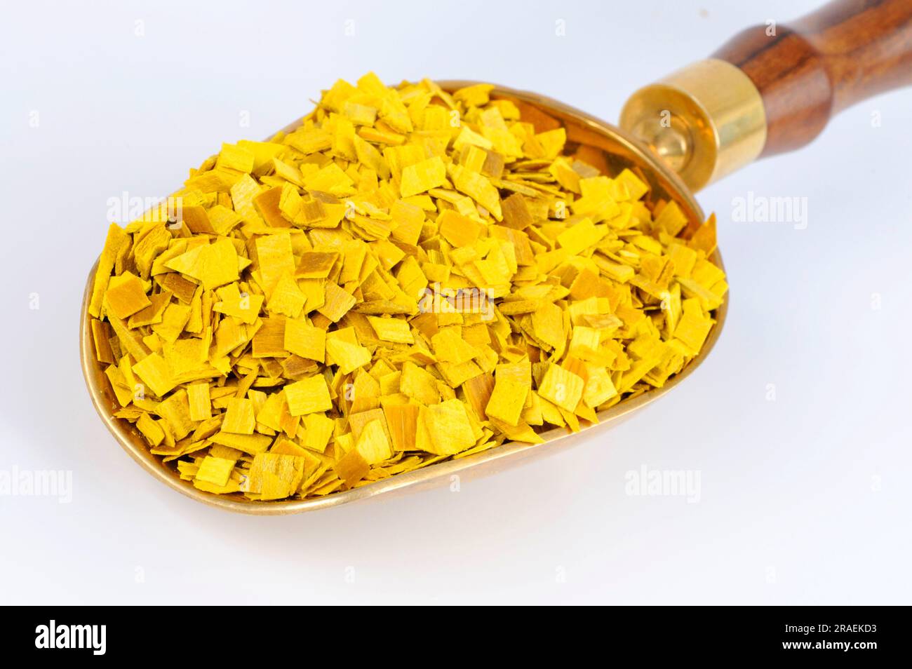 Amur cork tree bark (Cortex Phellodendri), Huang Bo, Huang Bai Stock ...