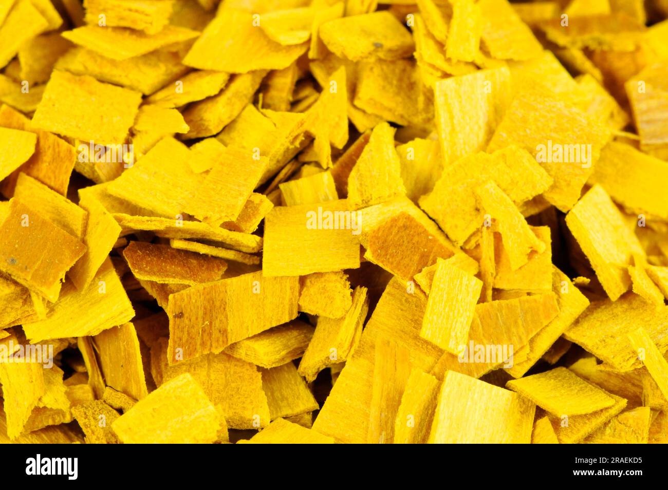 Amur cork tree bark (Cortex Phellodendri), Huang Bo, Huang Bai Stock ...