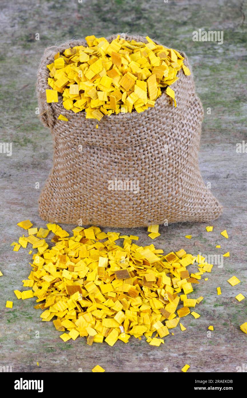 Amur cork tree bark (Cortex Phellodendri), Huang Bo, Huang Bai Stock ...