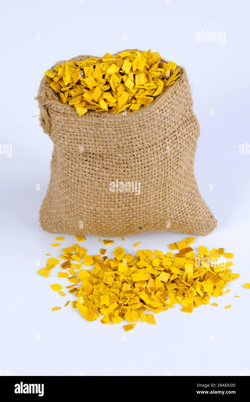 Cork tree bark (Cortex Phellodendri), Huang Bo, Huang Bai, cut out ...