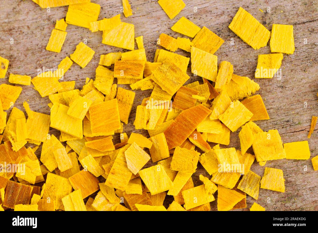 Amur cork tree bark (Cortex Phellodendri), Huang Bo, Huang Bai Stock ...