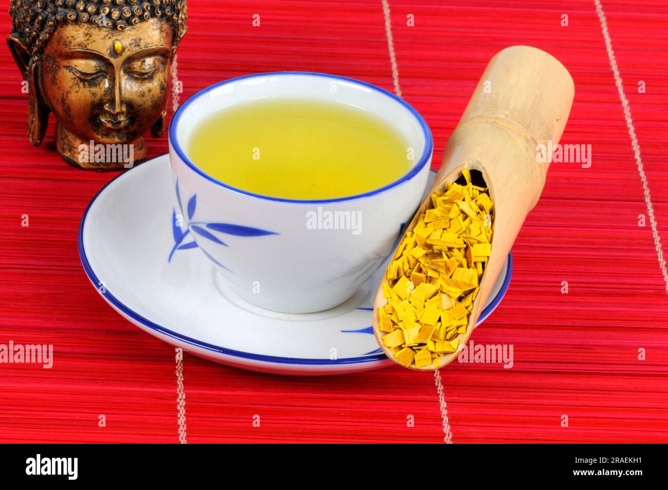 Cup of Amur cork tree bark tea (Cortex Phellodendri), Huang Bo, Huang ...