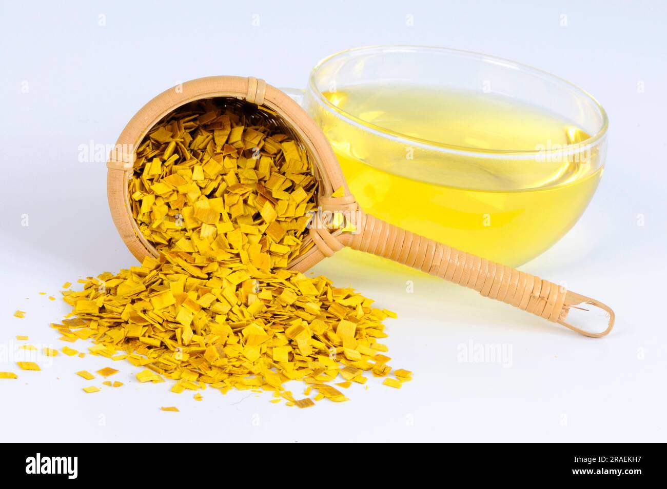 Cup of Amur cork tree bark tea (Cortex Phellodendri), Huang Bo, Huang ...