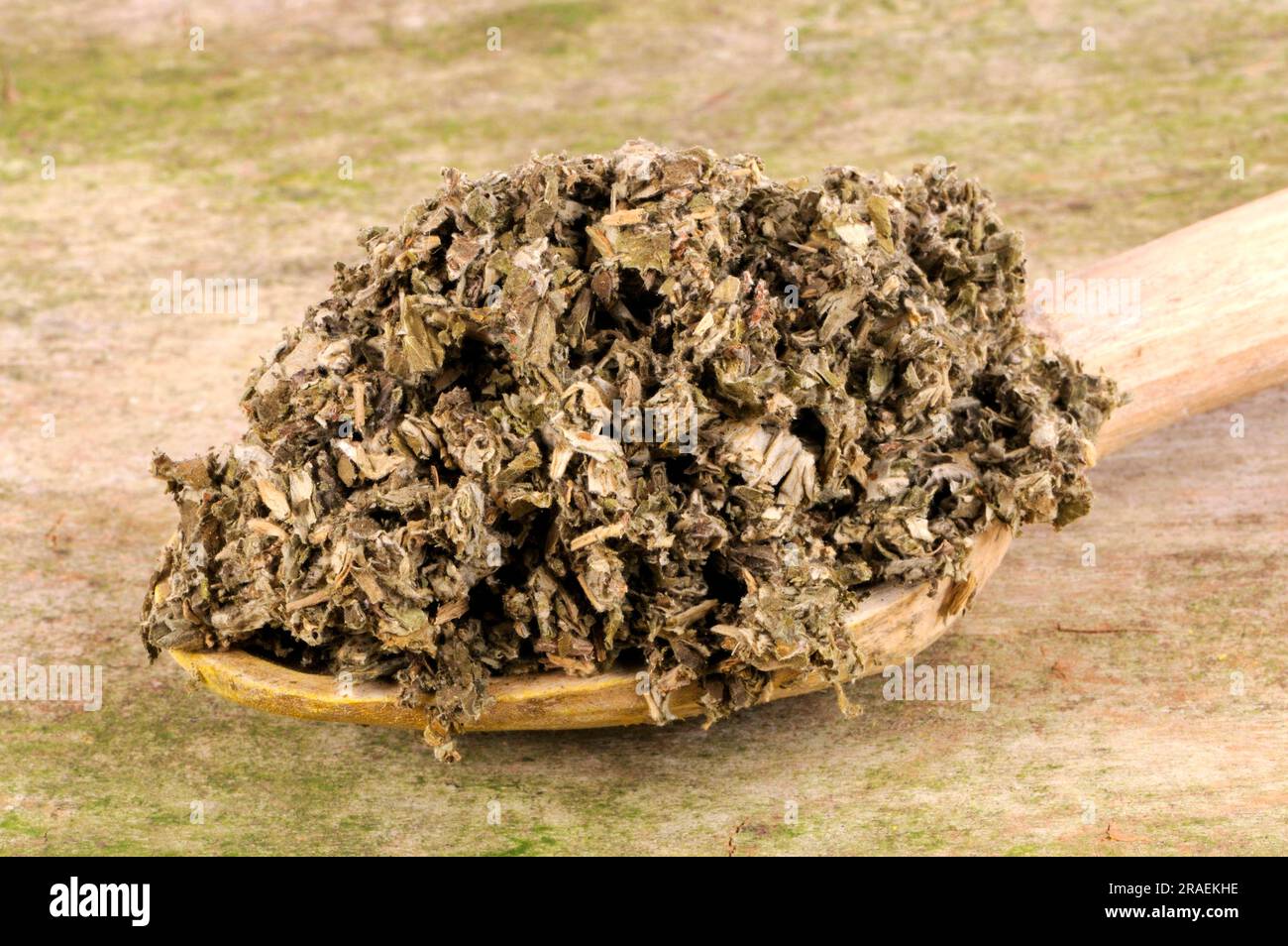 Argy Wormwood leaves (Artemisiae argyi Folium), Ai Ye Stock Photo - Alamy