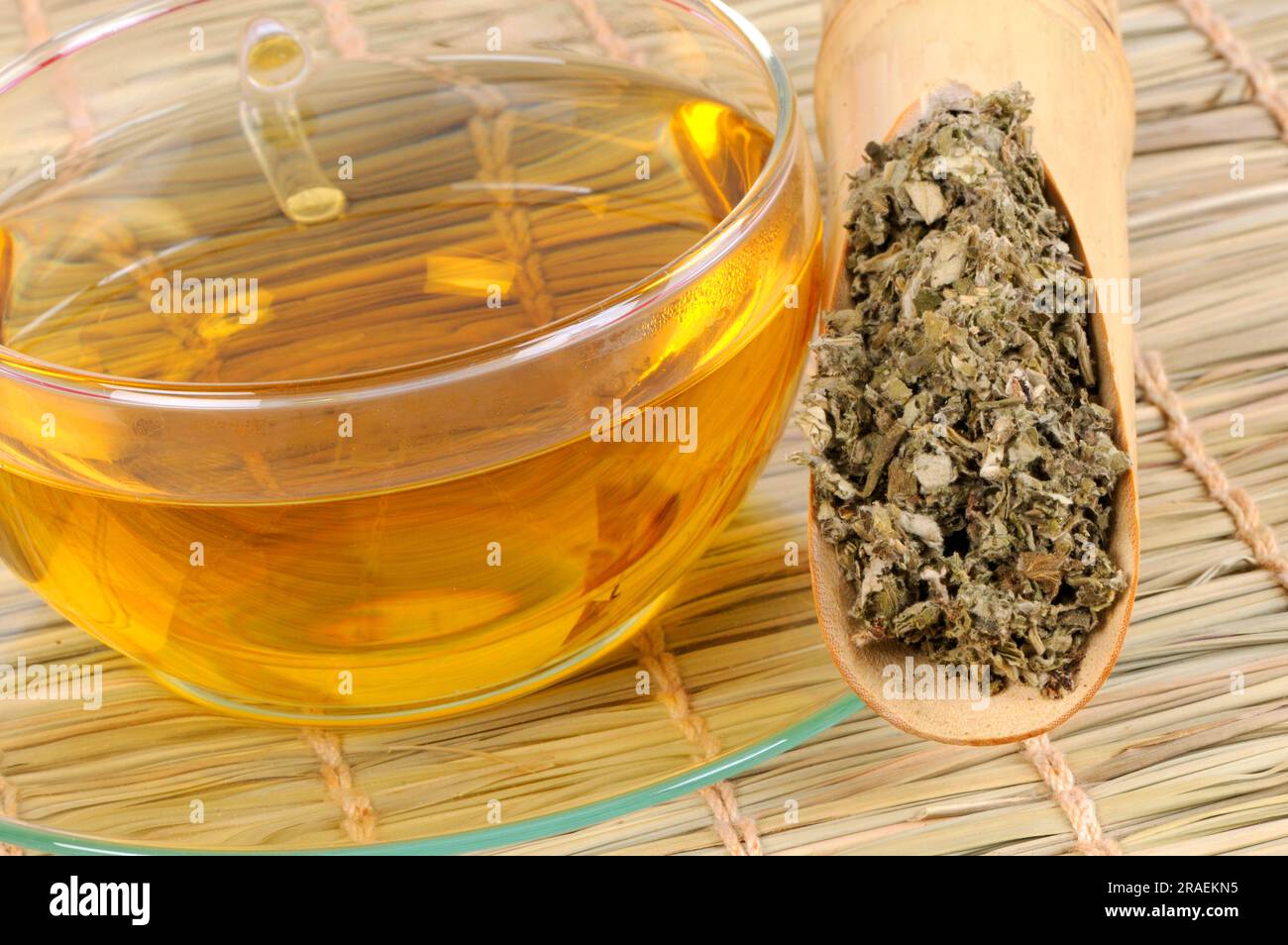 Cup of tea with argy wormwood leaves (Artemisiae argyi Folium), Ai Ye ...