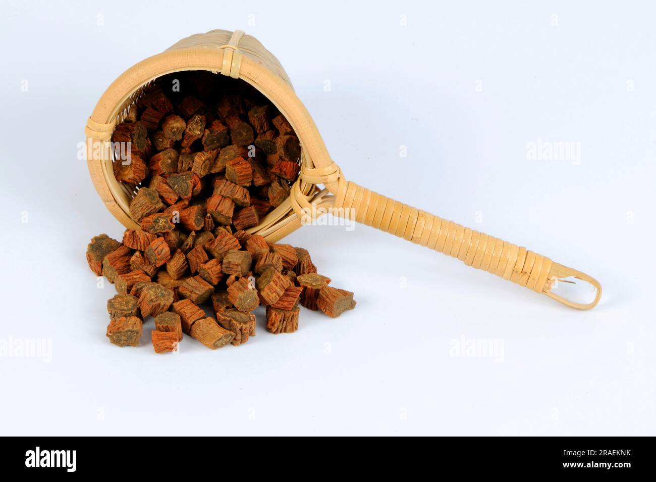 Red-rooted sage root (Salviae miltiorrhizae Radix), Dan Shen, cut out ...