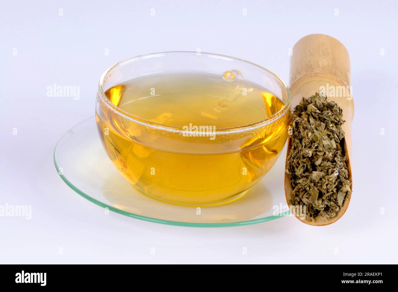 Cup of tea with argy wormwood leaves (Artemisiae argyi Folium), Ai Ye ...