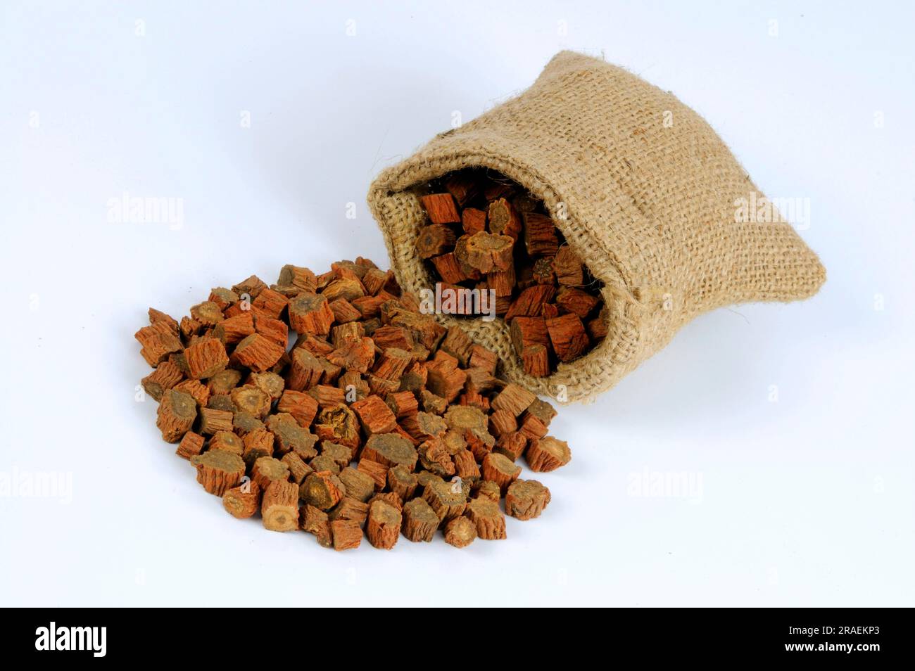 Red-rooted sage root (Salviae miltiorrhizae Radix), Dan Shen, cut out ...