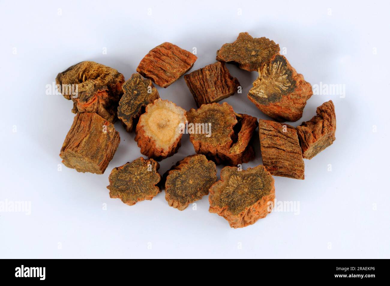 Red-rooted sage root (Salviae miltiorrhizae Radix), Dan Shen, cut out ...
