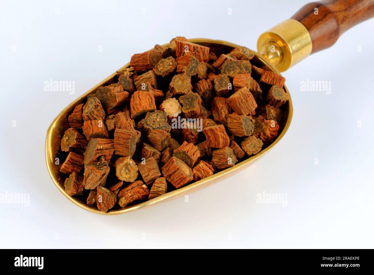 Red-rooted sage root (Salviae miltiorrhizae Radix), Dan Shen Stock ...