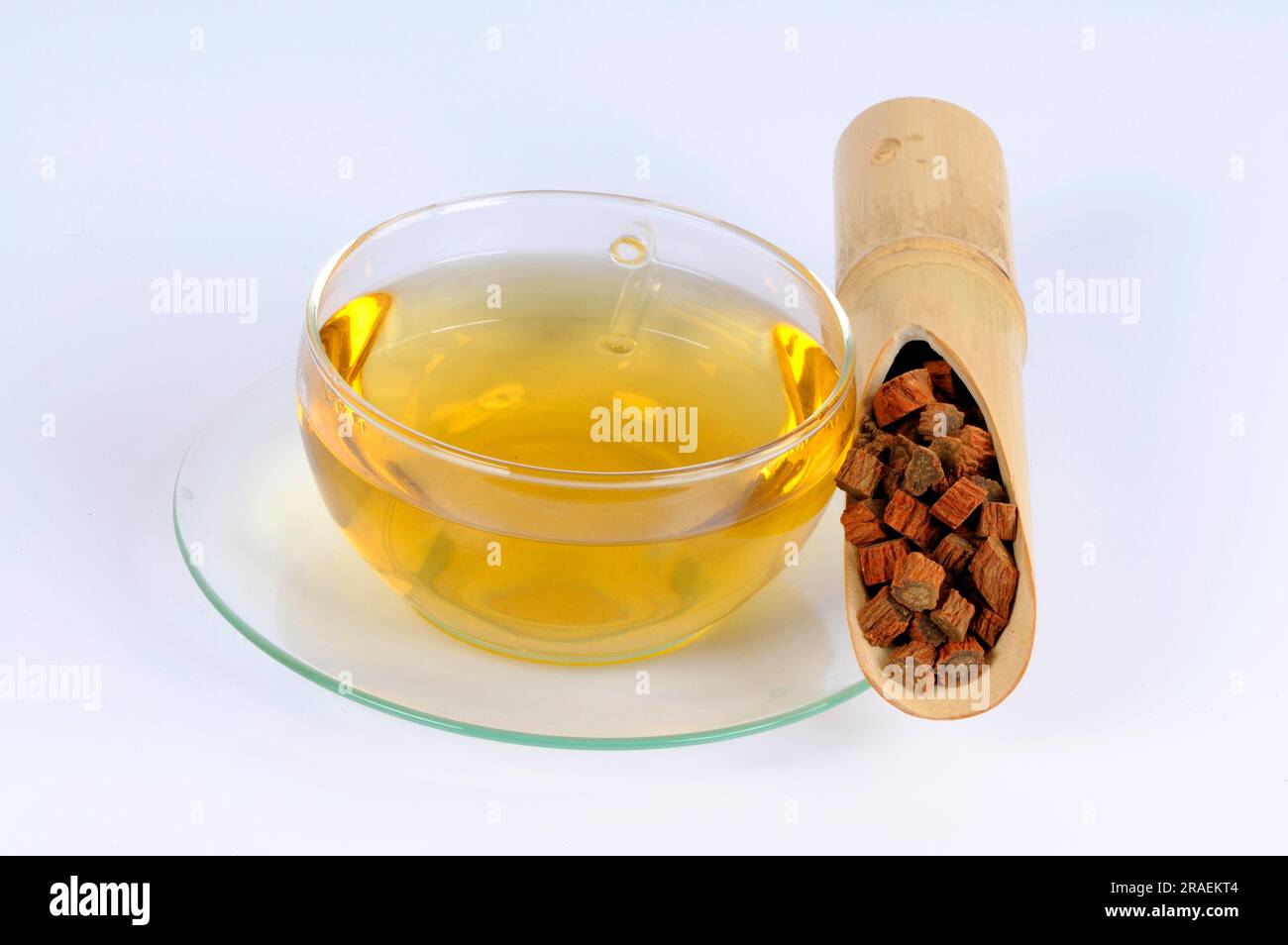 Cup of redroot sage root tea (Salviae miltiorrhizae Radix), Dan Shen ...