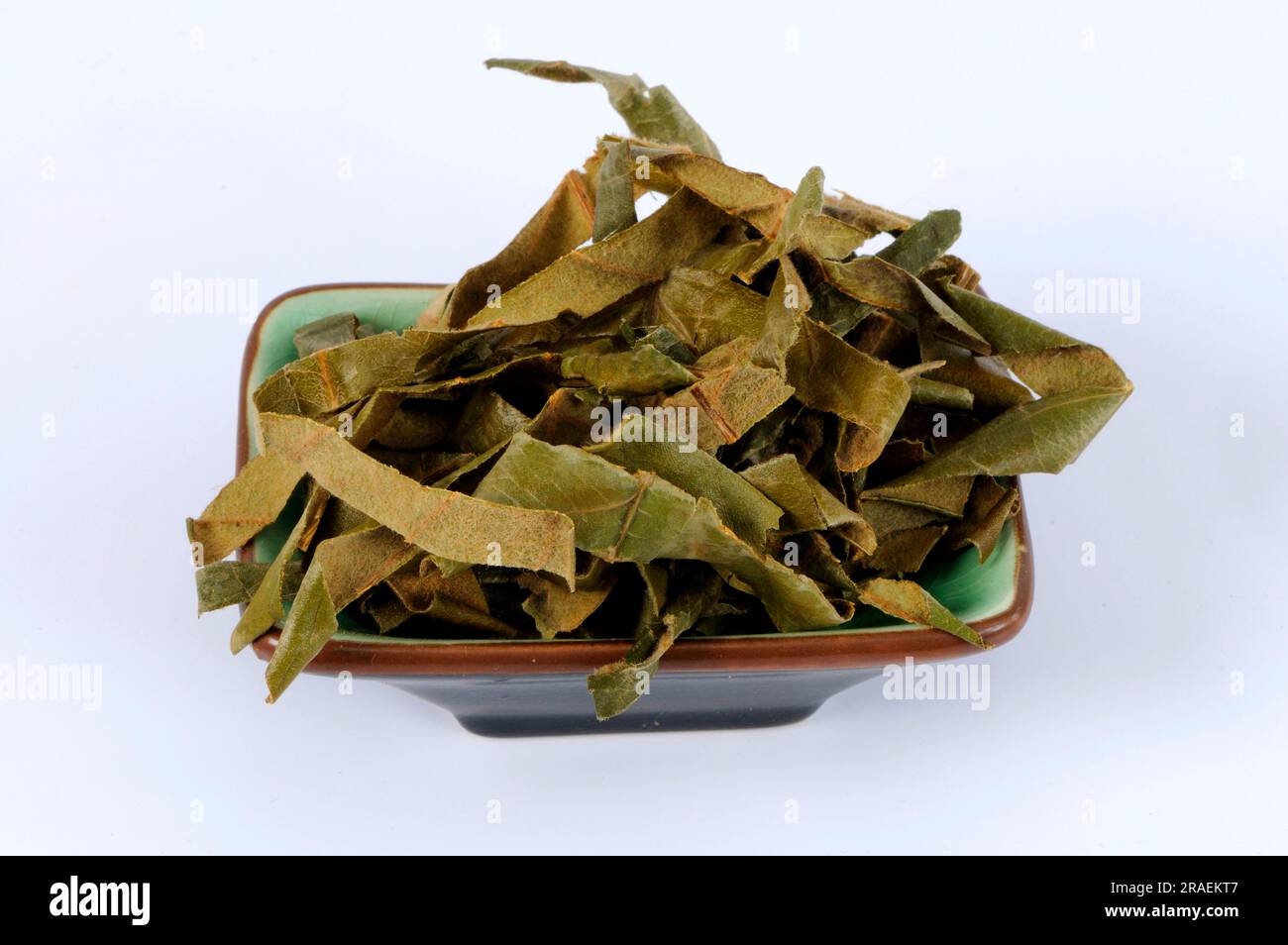 Loquat leaves (Eriobotryae Folium), Pi Pa Ye, excised, object Stock ...