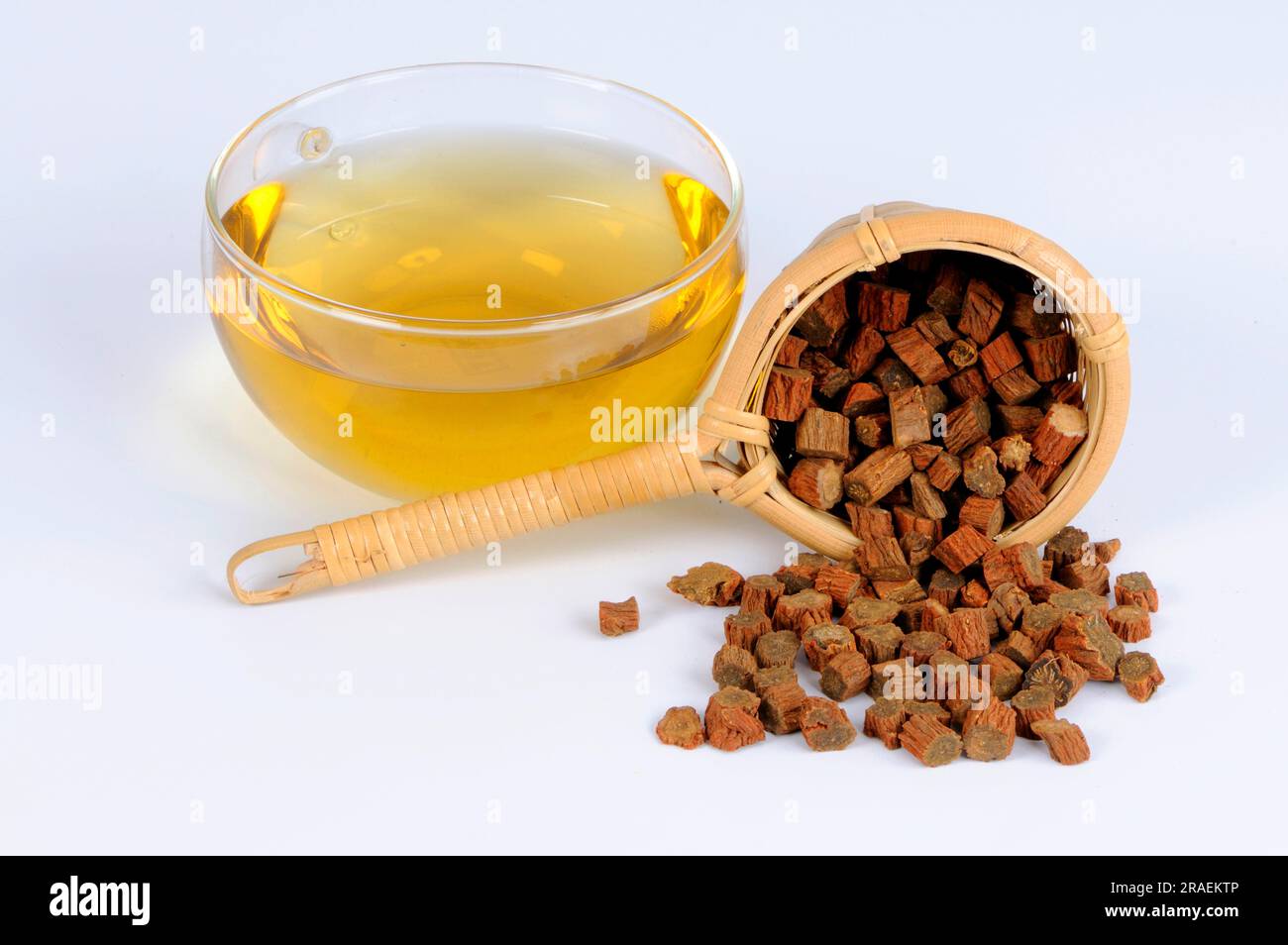 Cup of redroot sage root tea (Salviae miltiorrhizae Radix), Dan Shen ...
