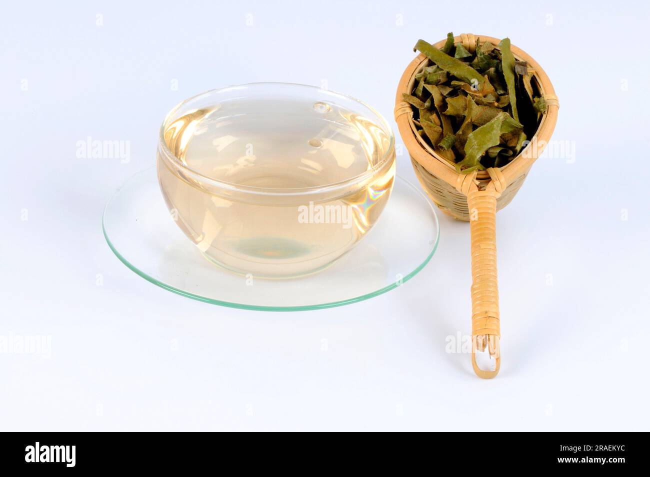 Cup of tea from loquat leaves (Eriobotryae Folium), Pi Pa Ye Stock ...