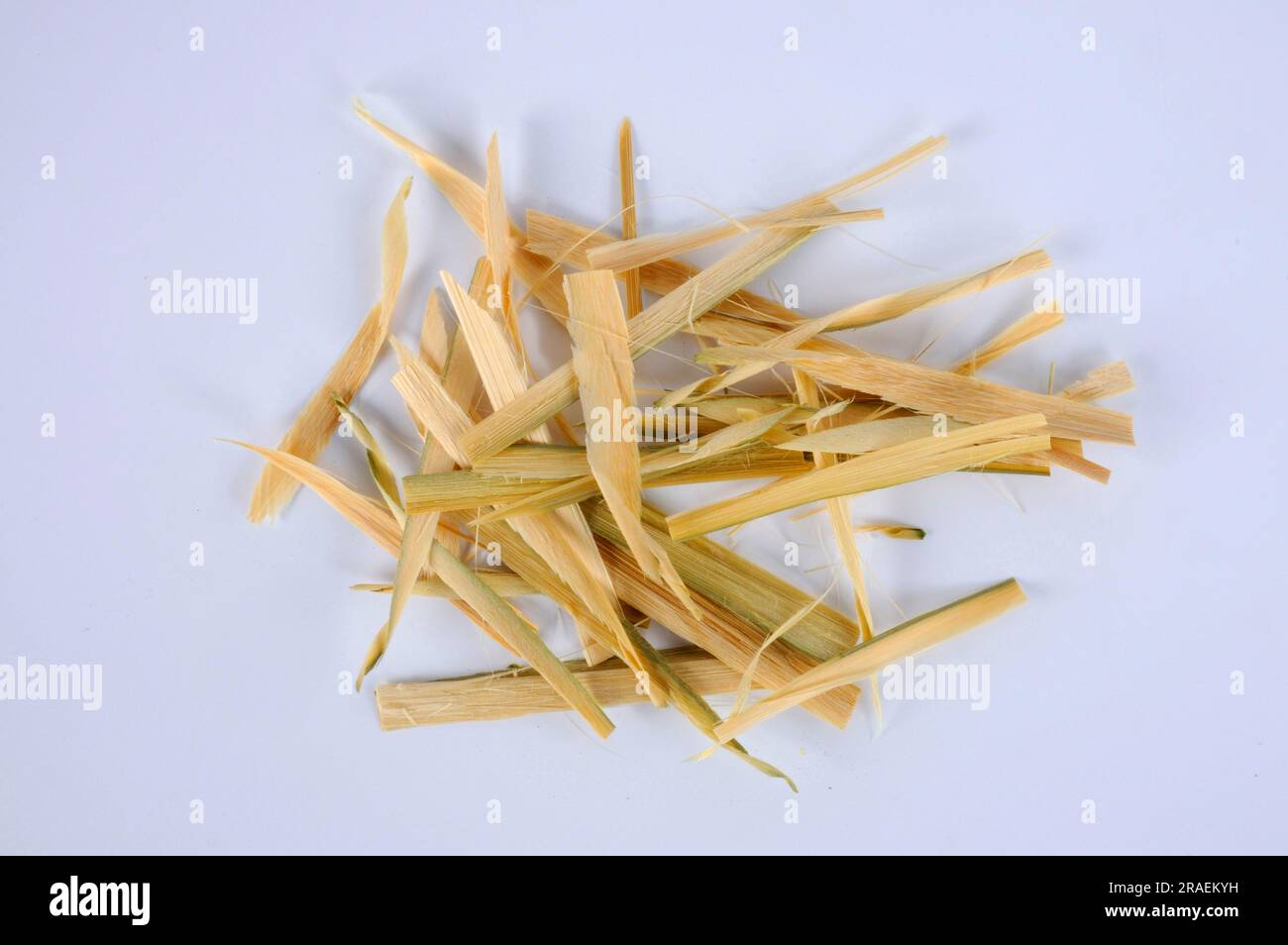 Bamboo cane strip (Bambusae Caulis in Taeniam), Zhu Ru, cut out, object ...