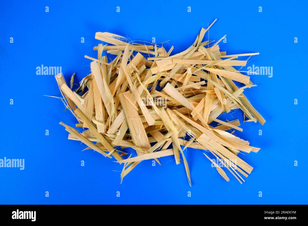 Bamboo cane strip (Bambusae Caulis in Taeniam), Zhu Ru, cut out, object ...
