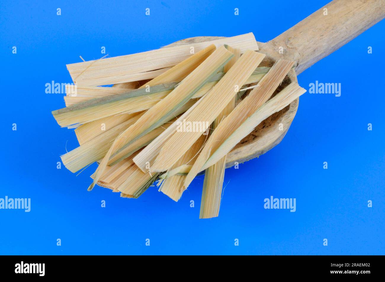 Bamboo cane strips (Bambusae Caulis in Taeniam), Zhu Ru Stock Photo - Alamy