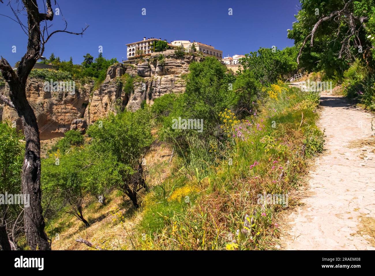 Trail to the viewpoint of the famous bridge Puente Nuevo which ...