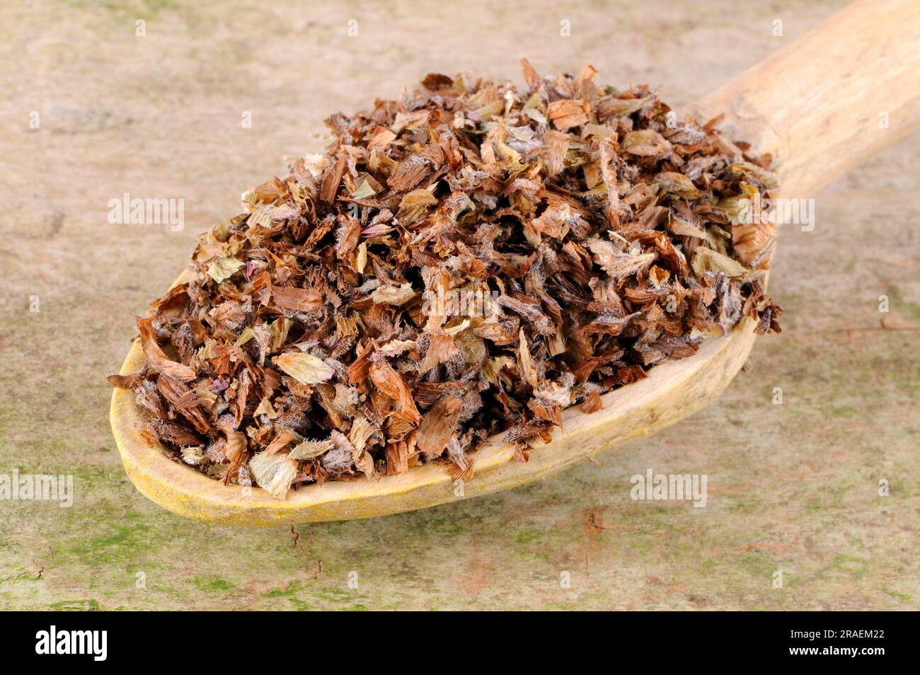 (Prunellae Spica), Xia Ku Cao, Brownellae ears, Brownellae ears Stock ...