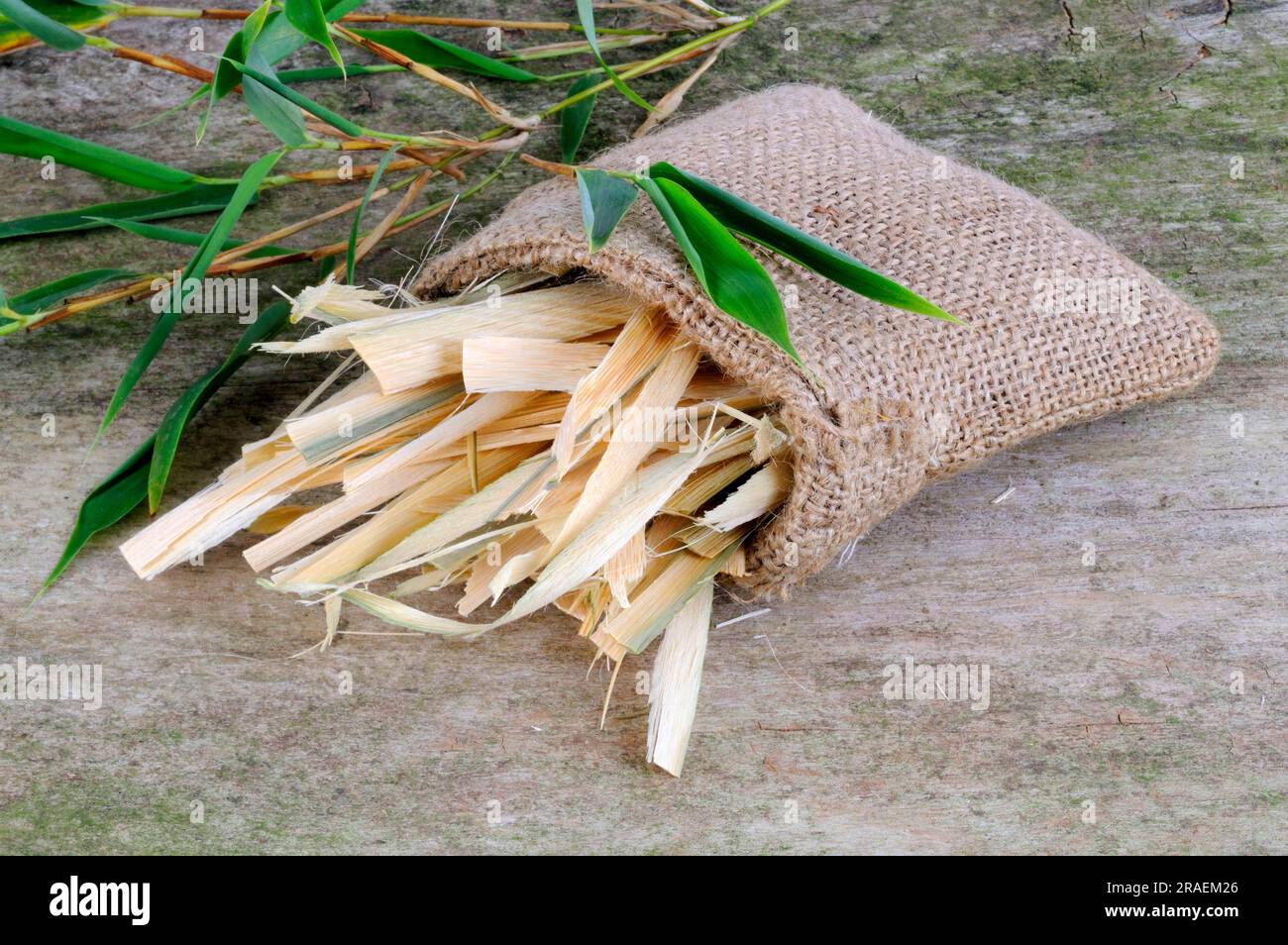 Bamboo cane strips (Bambusae Caulis in Taeniam), Zhu Ru Stock Photo - Alamy