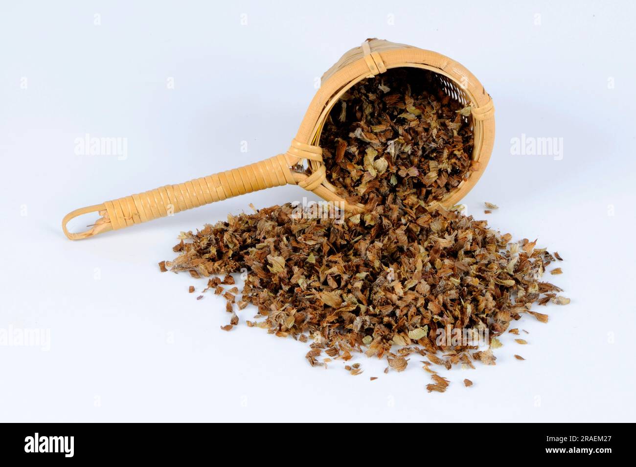 (Prunellae Spica), Xia Ku Cao, brownish ears, brownish ears, cutout ...