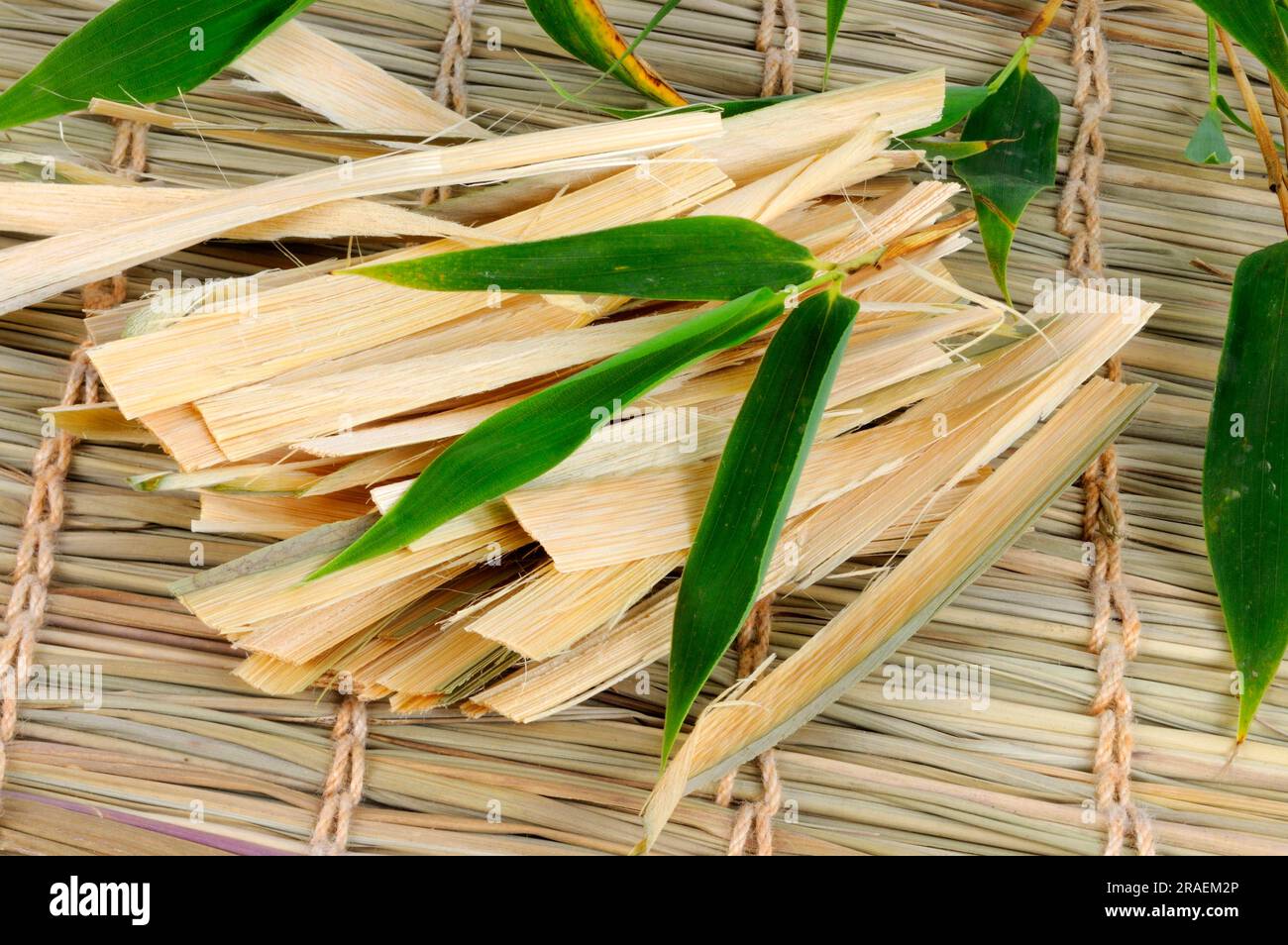 Bamboo cane strips (Bambusae Caulis in Taeniam), Zhu Ru Stock Photo - Alamy