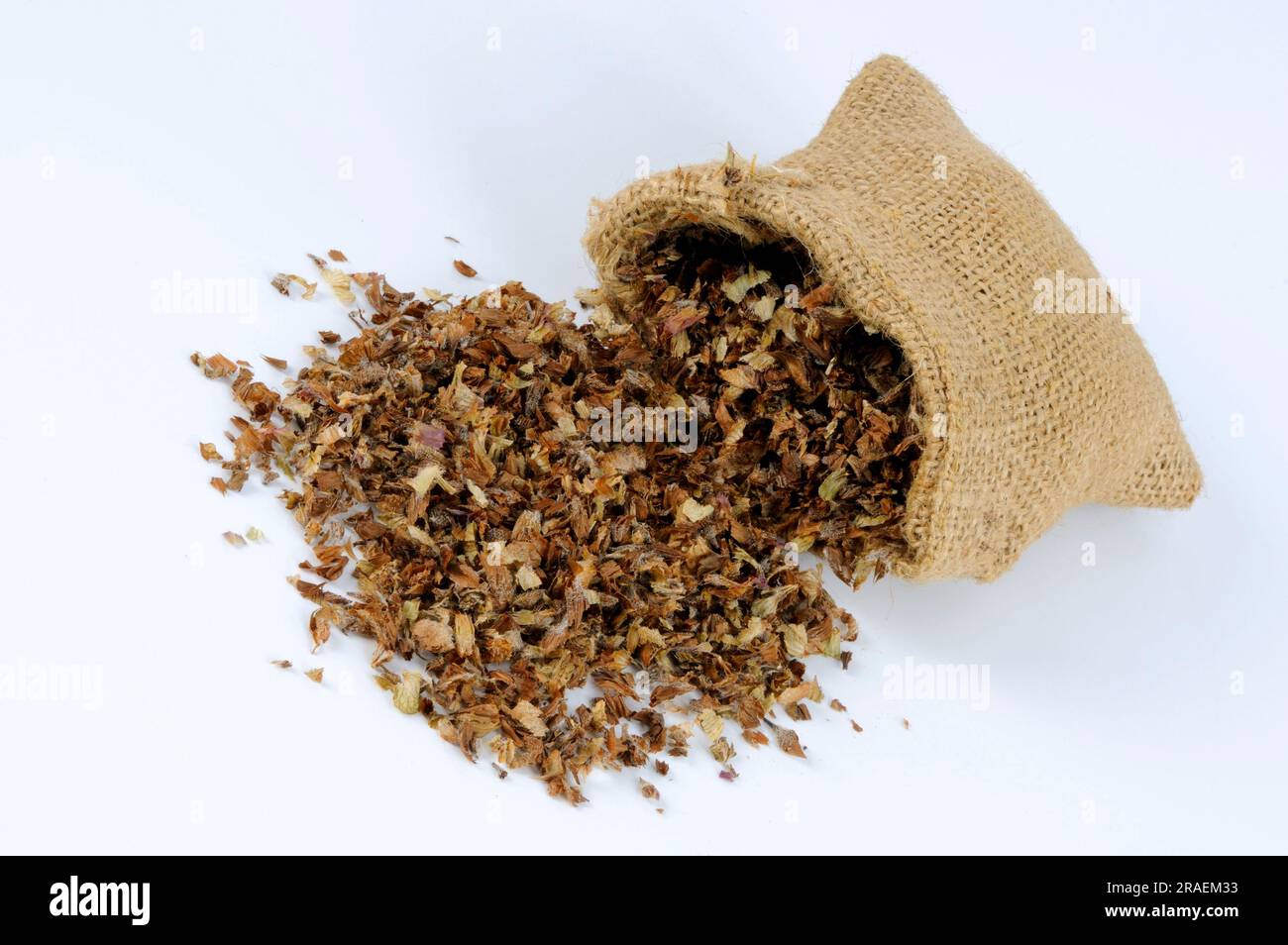 (Prunellae Spica), Xia Ku Cao, brownish ears, brownish ears, cutout ...