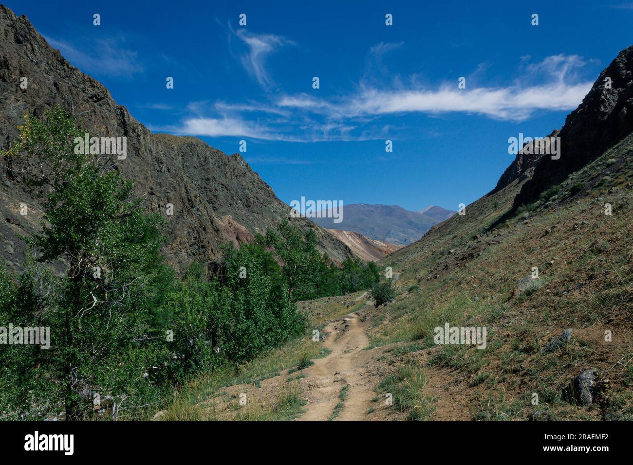 Hiking trail in the canyon between two hills. Summer tourism Stock ...