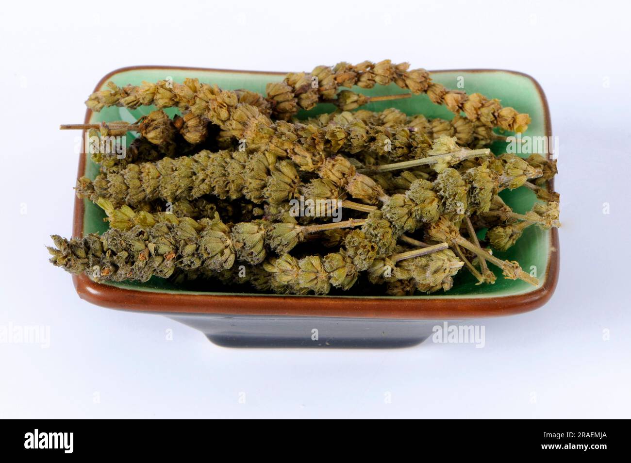 Fine-leaved Schizonepeta (Schizonepeta herb), Jing Jie, cut out, object Stock Photo - Alamy