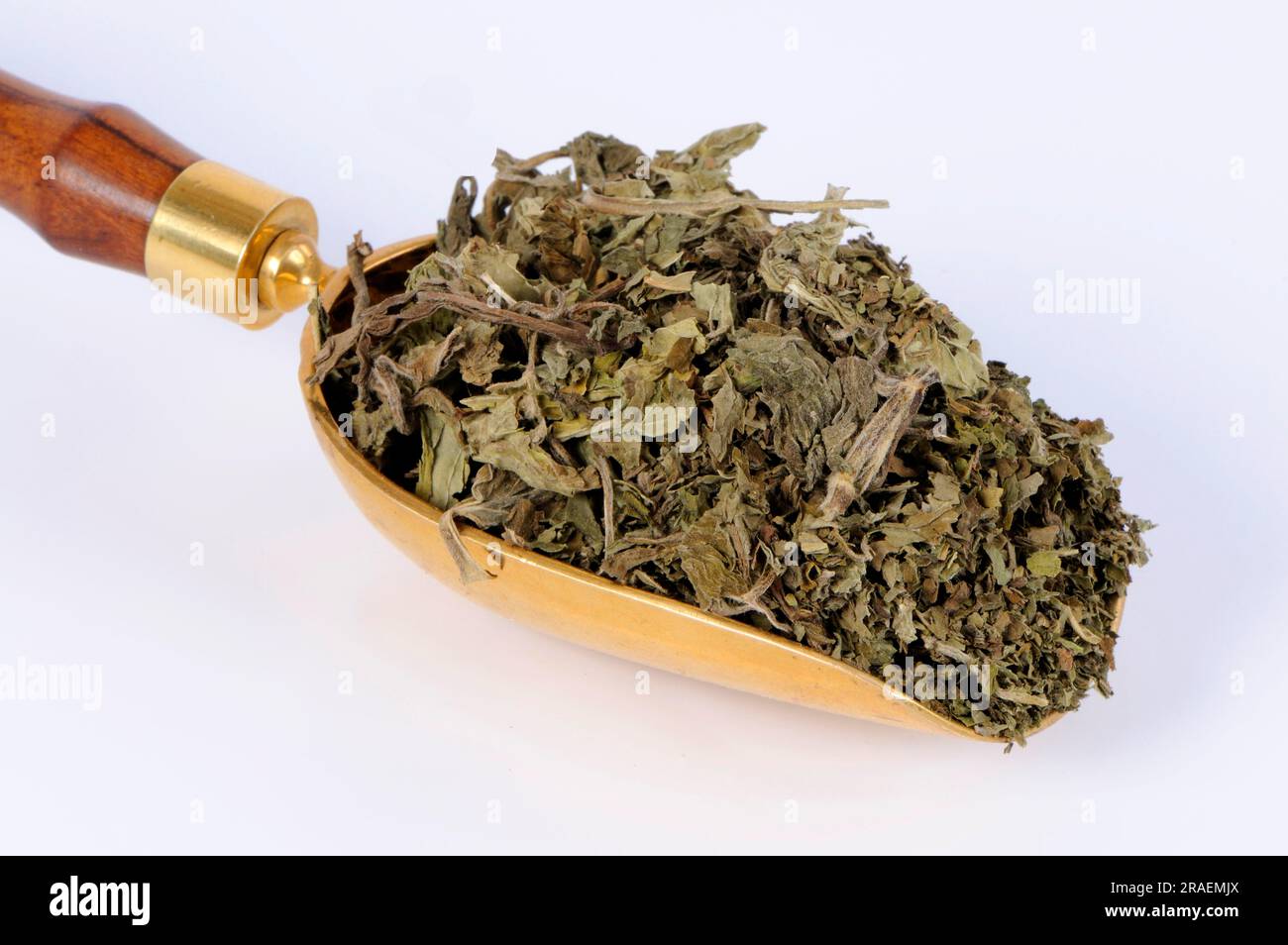 Chinese field mint, dried leaves (Menthae Folia), Bo He Stock Photo - Alamy