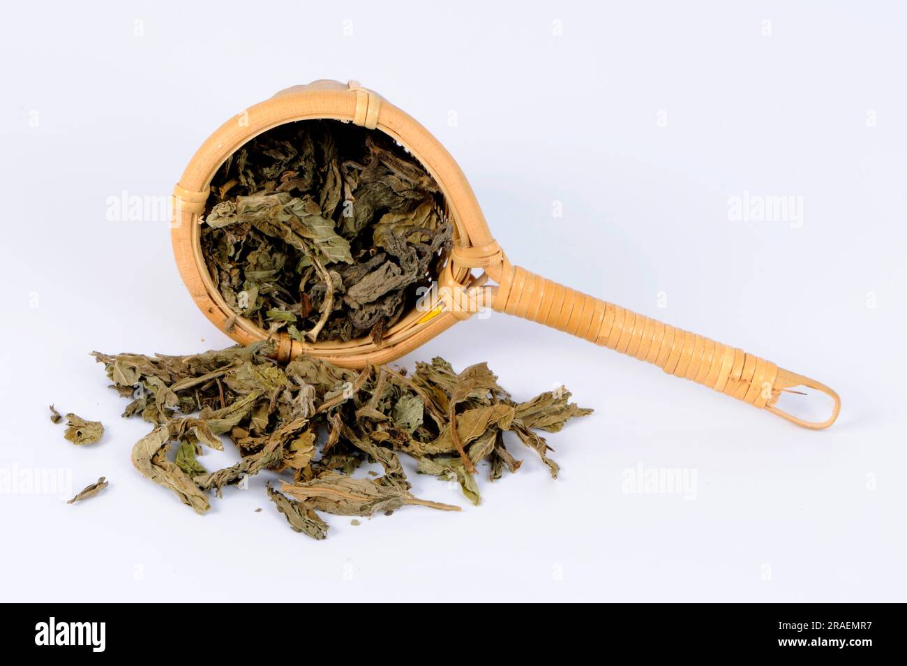 Chinese field mint, dried leaves (Menthae Folia), Bo He, cut out ...