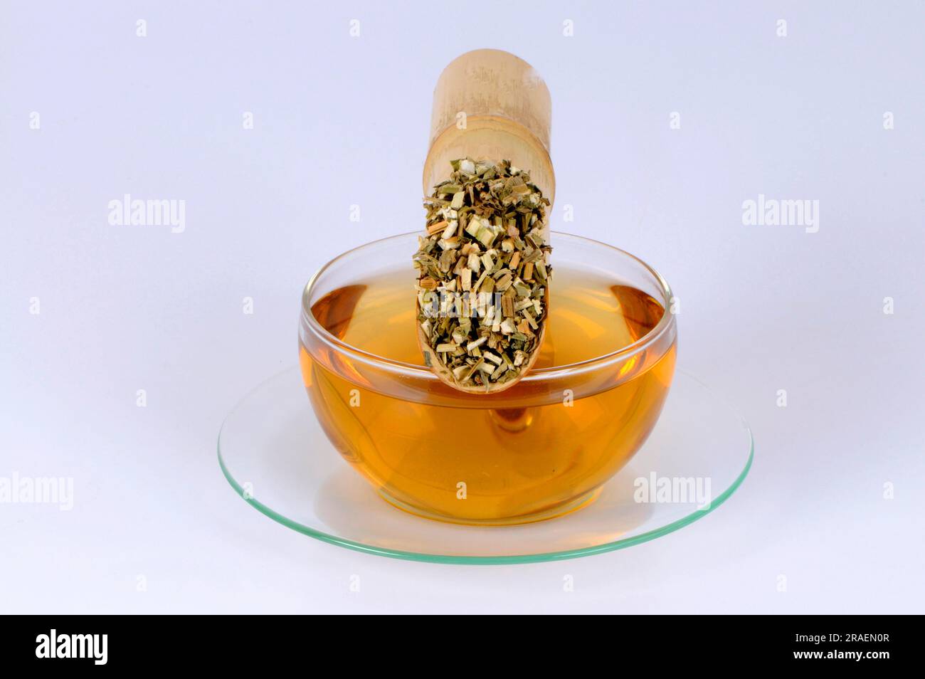 Cup of Chinese Motherwort Tea (Leonuri Herba), Yi Mu Cao Stock Photo ...