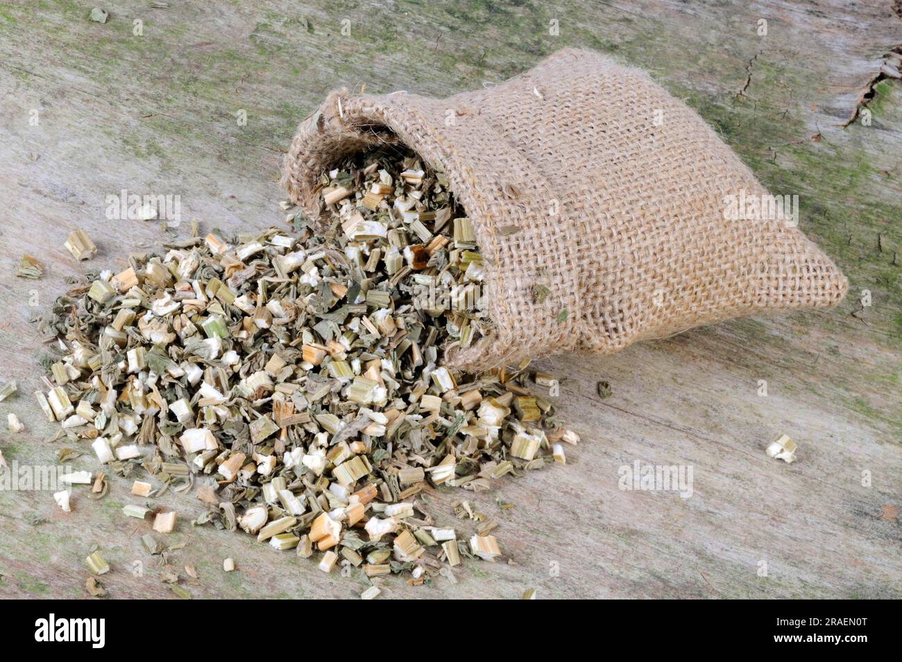 Chinese Motherwort (Leonuri Herba), Yi Mu Cao Stock Photo - Alamy