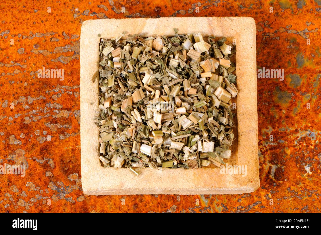 Chinese Motherwort (Leonuri Herba), Yi Mu Cao Stock Photo - Alamy