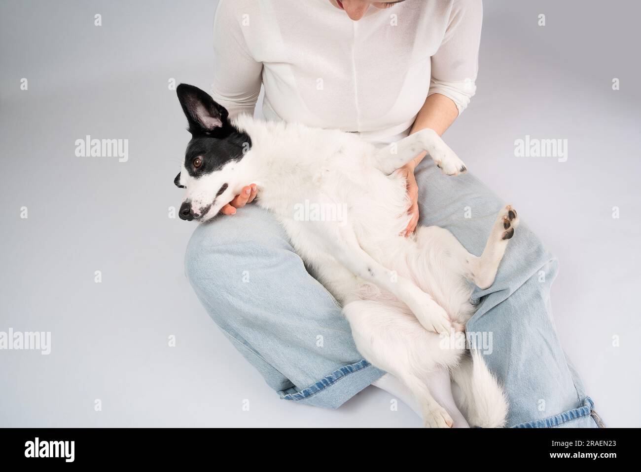 Dog owner and dog Cuddling with adorable black and white outbred dog ...