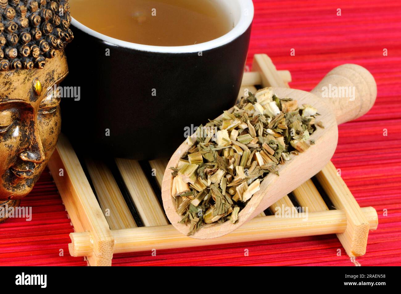 Cup of Chinese Motherwort Tea (Leonuri Herba), Yi Mu Cao Stock Photo ...