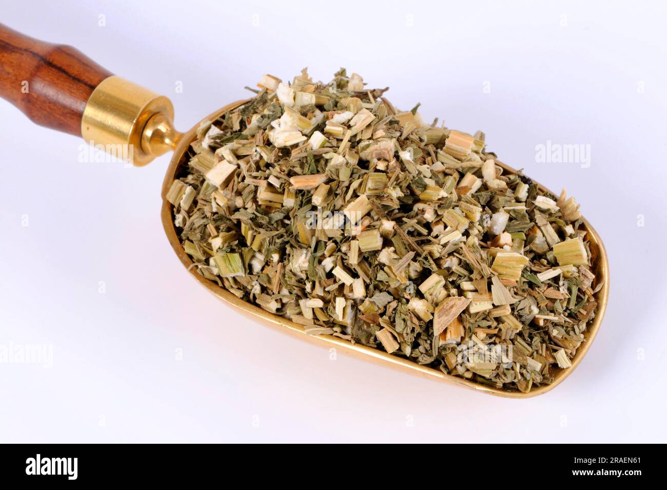 Chinese motherwort, dried (Leonuri Herba), Yi Mu Cao Stock Photo - Alamy