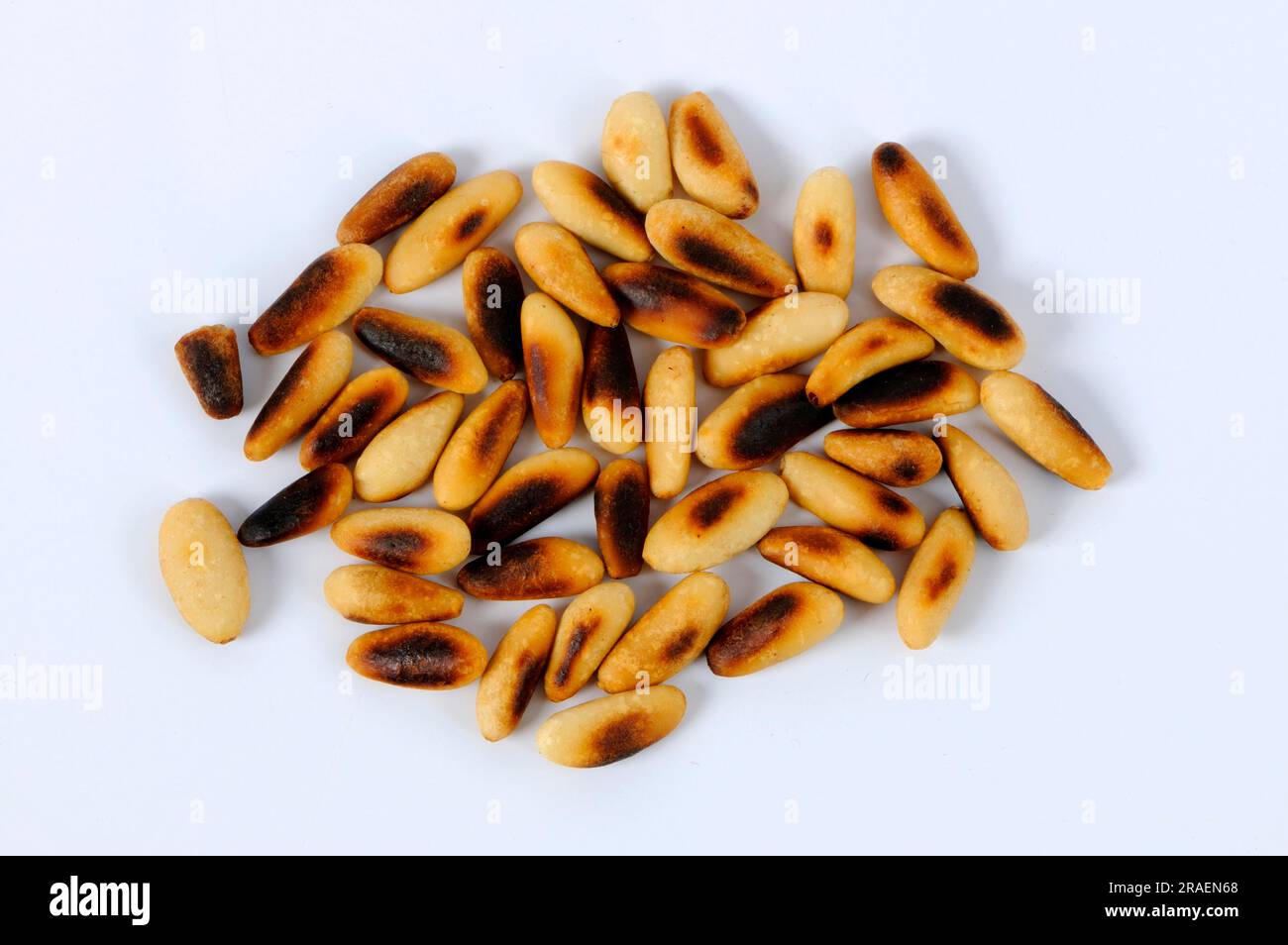 Stone Pines nuts (Pinus pinea) roasted, pine Stock Photo - Alamy
