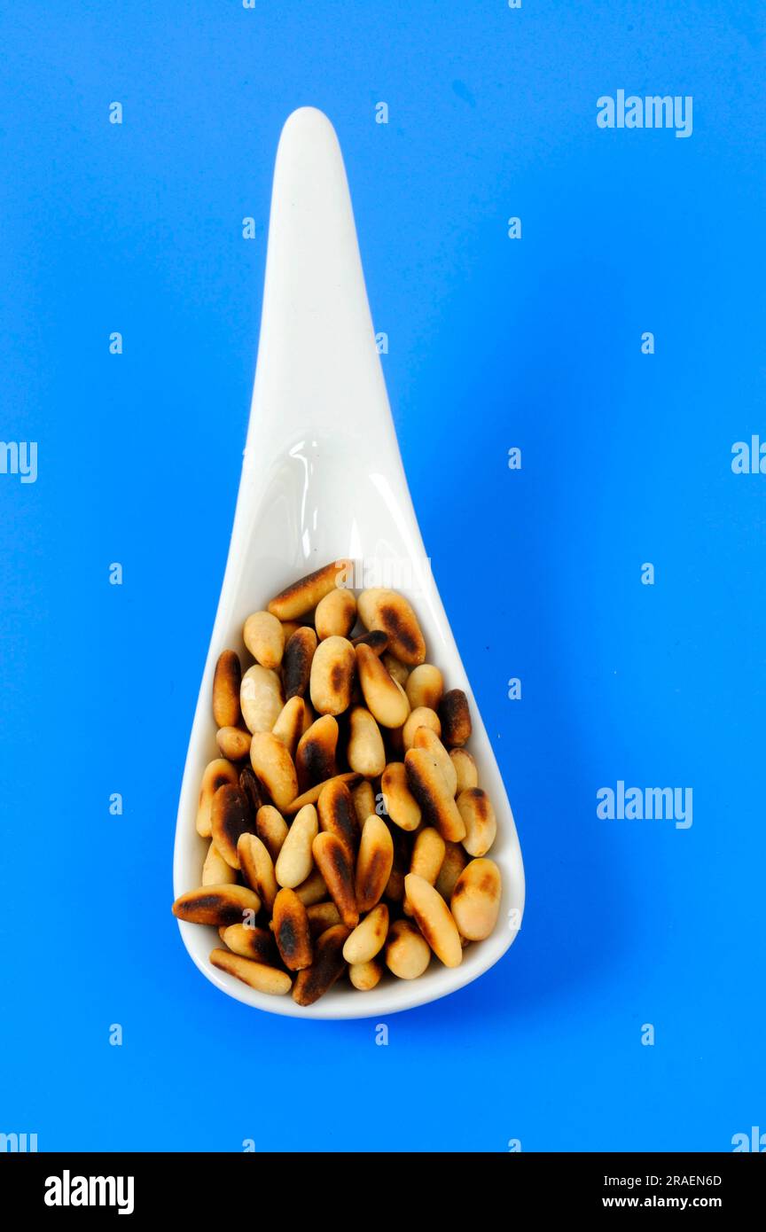 Stone Pines nuts (Pinus pinea) roasted, pine Stock Photo - Alamy